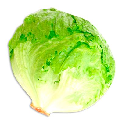 Lechuga rizada - Mercaldas